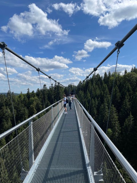 show news | AST International